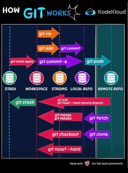 Browse Listings - StrongBody Network
